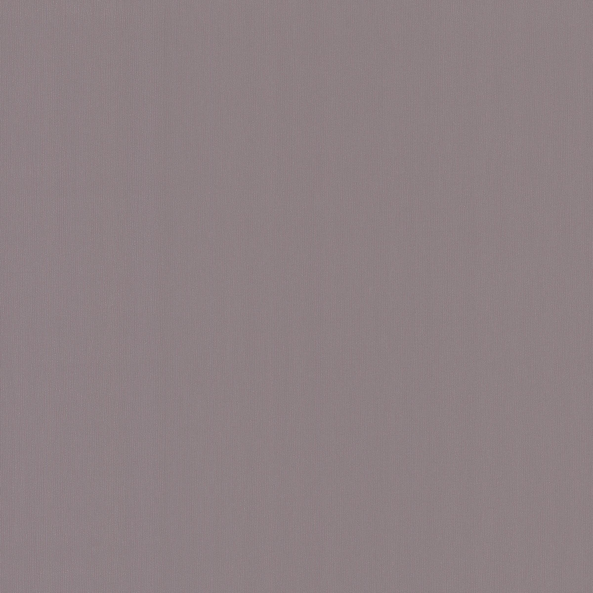 Wallpaper - Radiant Juniper Wallpaper // Purple